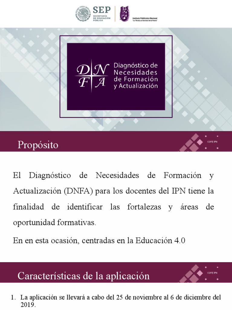 Presentación DNFA INSTRUMENTO 8 10 19 | PDF | Negocios | Informática