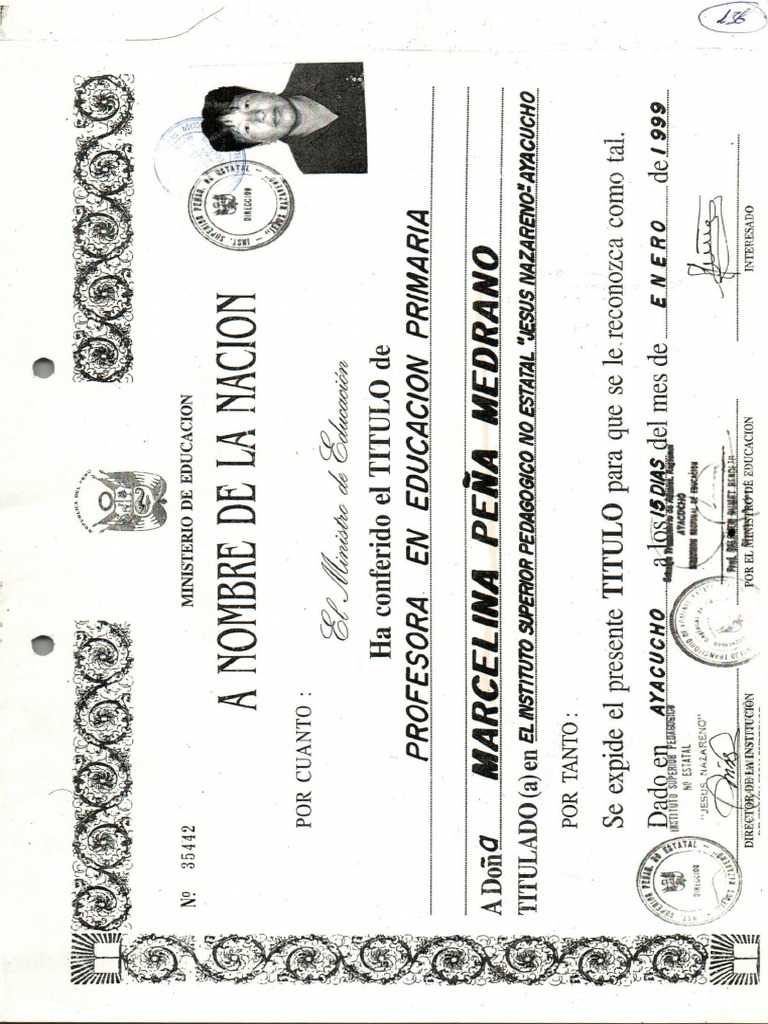 Scan | PDF