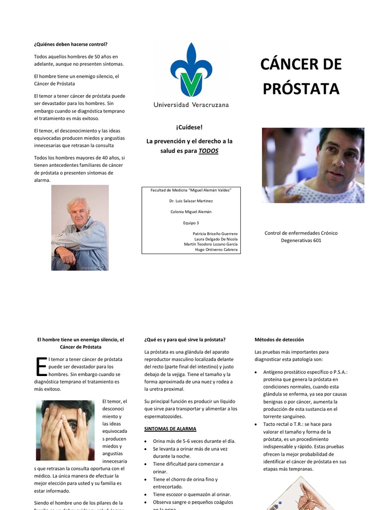 Triptico Cancer de Prostata | PDF