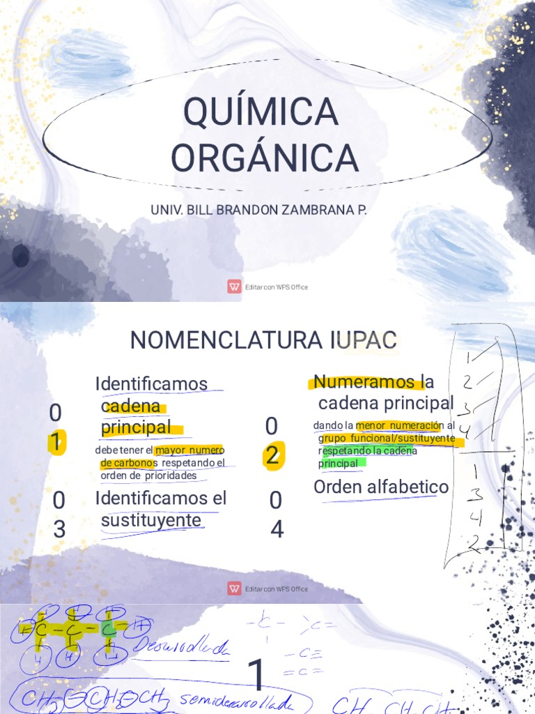 Nomenclatura IUPAC en Química Orgánica | PDF