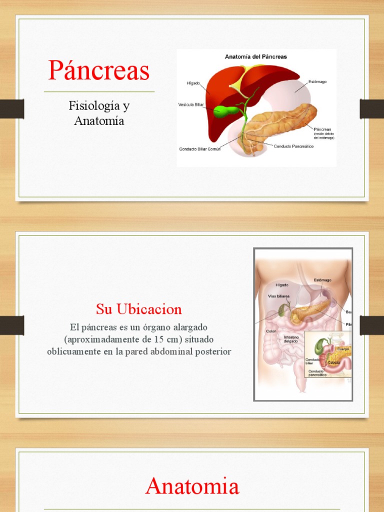 Páncreas | PDF