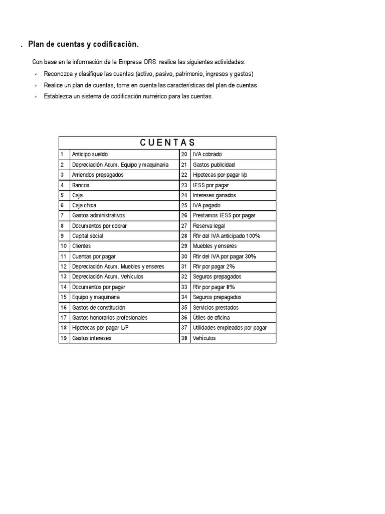 Plan de Cuentas y Codificación | PDF