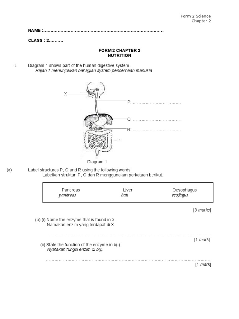Form 2 Science Chapter 2 | PDF | Calorie | Pancreas