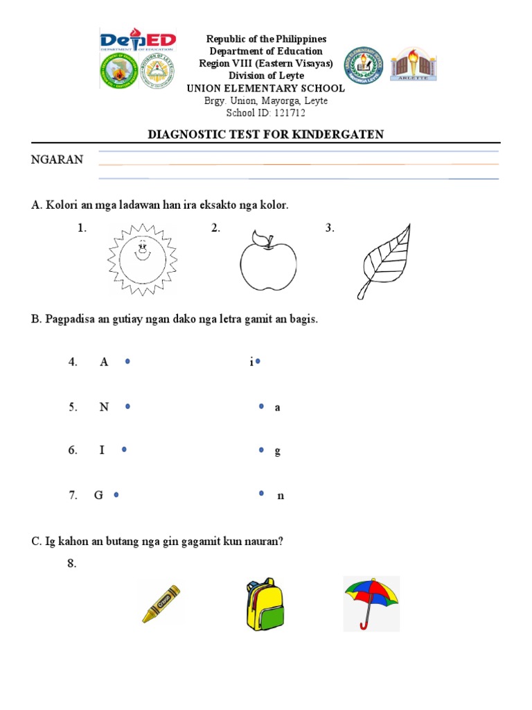 Kindergarten Diagnostic Test Guide | PDF | Linguistics | Cognition