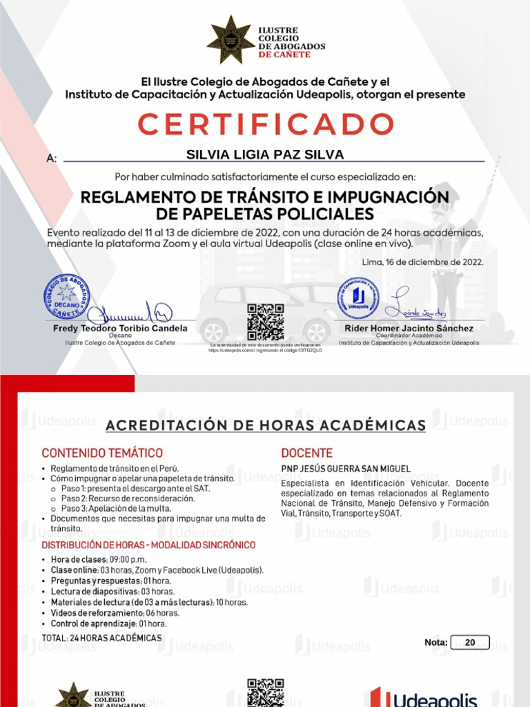 Impgnación de Papeletas | PDF