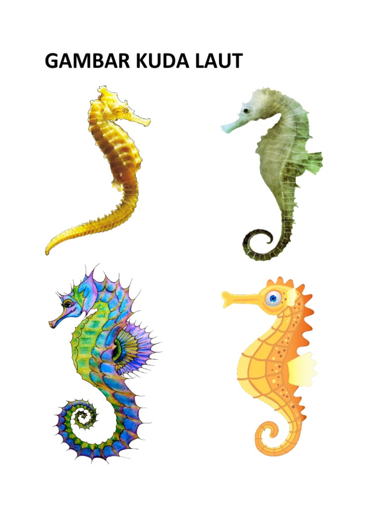 Gambar Kuda Laut | PDF