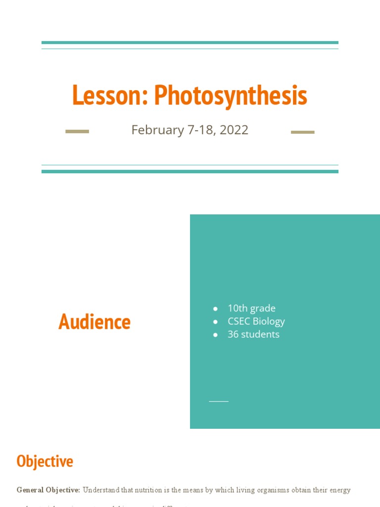4th Bio Option 3 Lesson Plan-Photosynthesis | PDF | Photosynthesis | Leaf