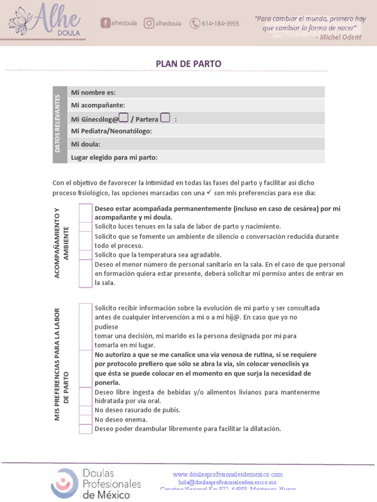 Plantilla Plan de Parto | PDF | Parto | Embarazo humano