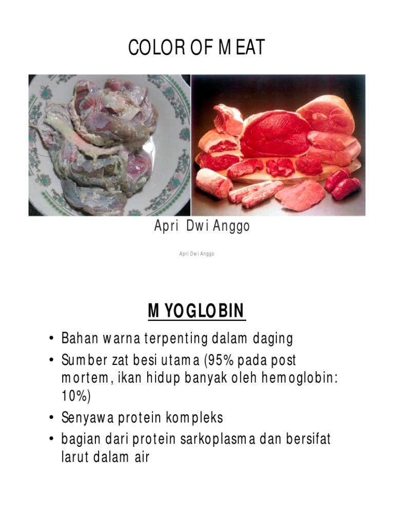 BHP PAK EKO Warna Daging | PDF