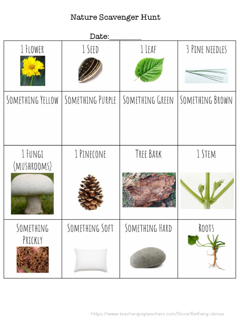 PlantScavengerHunt 1 | PDF