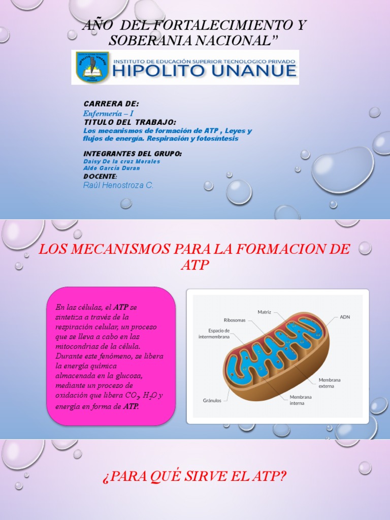 8VA CLASE - Los Mecanismos de Formación de ATP, Leyes y Flujos de ...