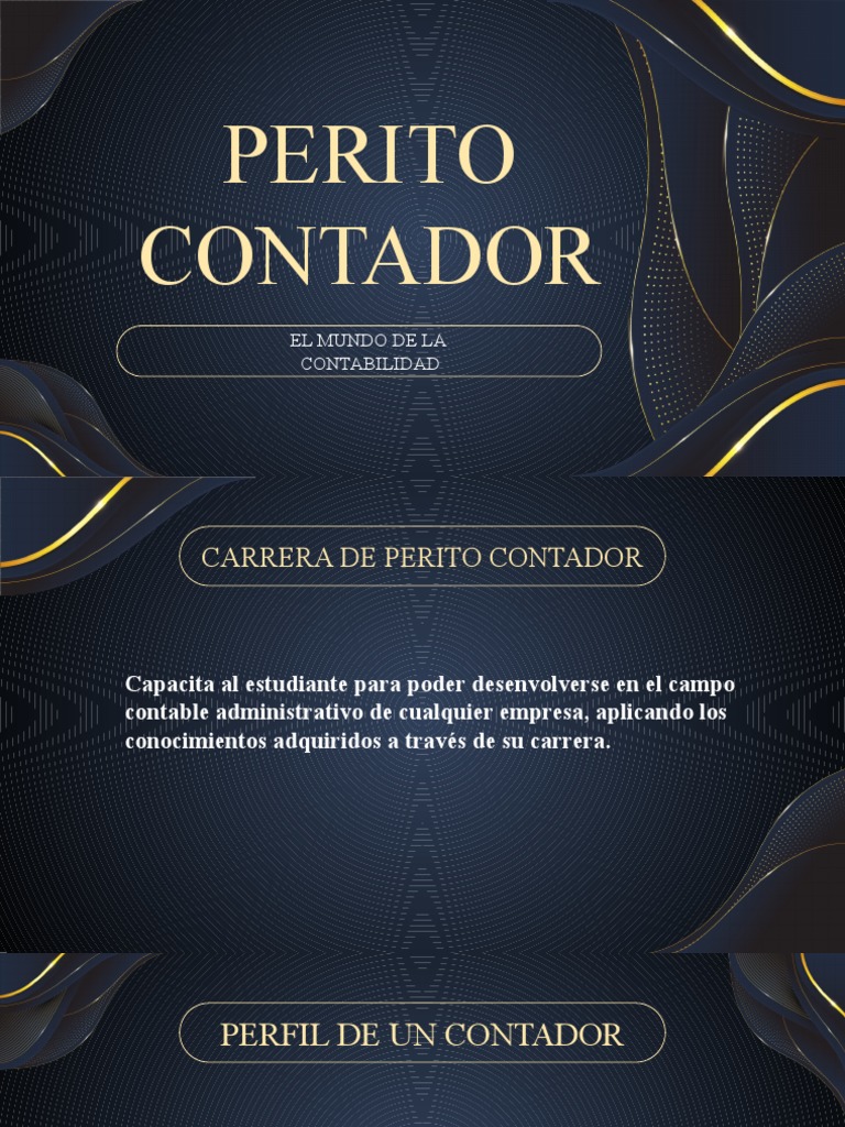 Perito Contador: Funciones y Perfil | PDF | Contabilidad | Business