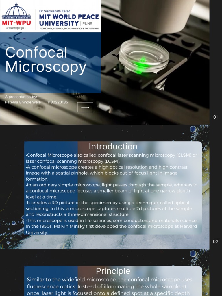 confocal microscopy | PDF