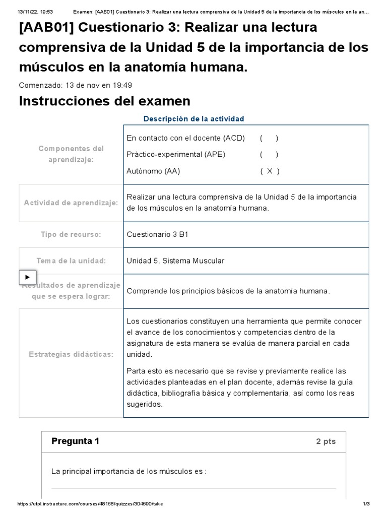 Comprensión del Sistema Muscular | PDF | Prueba (evaluación) | Músculo ...