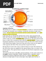 NCERT Books For Class 10 Science Chapter 11 Human Eye and Colorful World | PDF | Rainbow | Eye