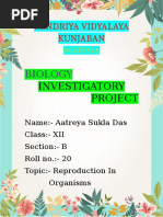 Blank Document Analysis | PDF