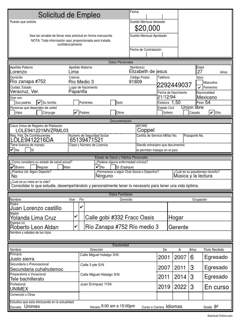 Solicitud de Empleo PDF | PDF