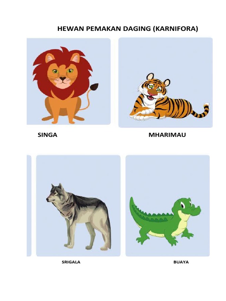 Hewan Pemakan Daging | PDF