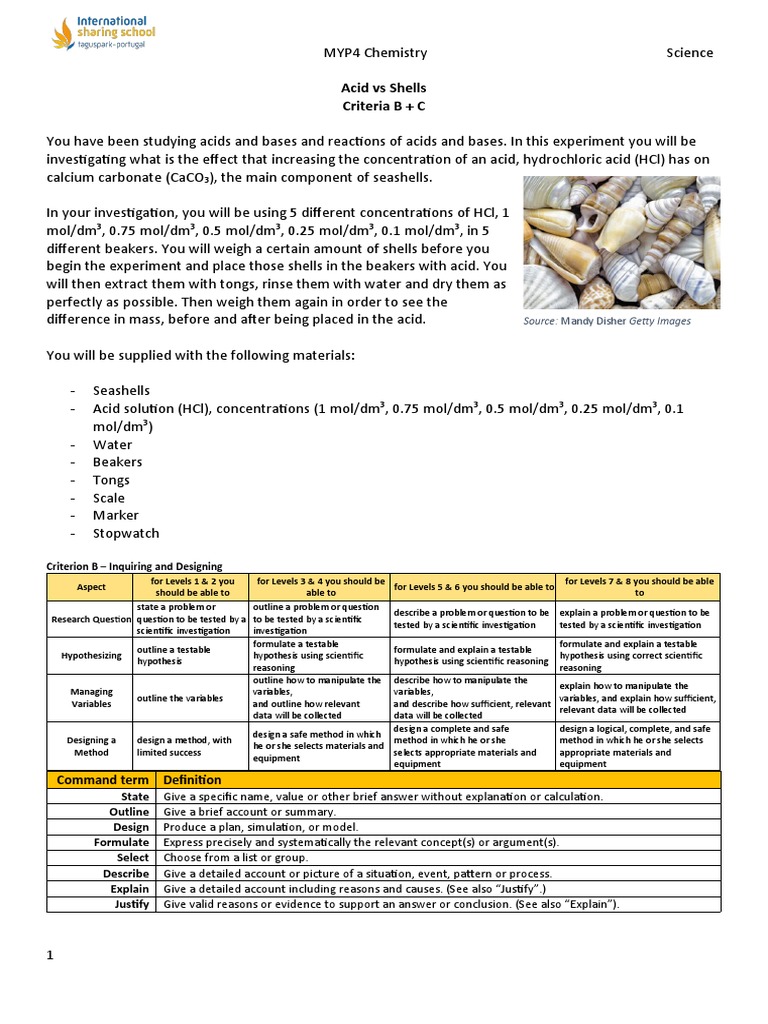 Acid Vs Shells | PDF | Scientific Method | Hypothesis