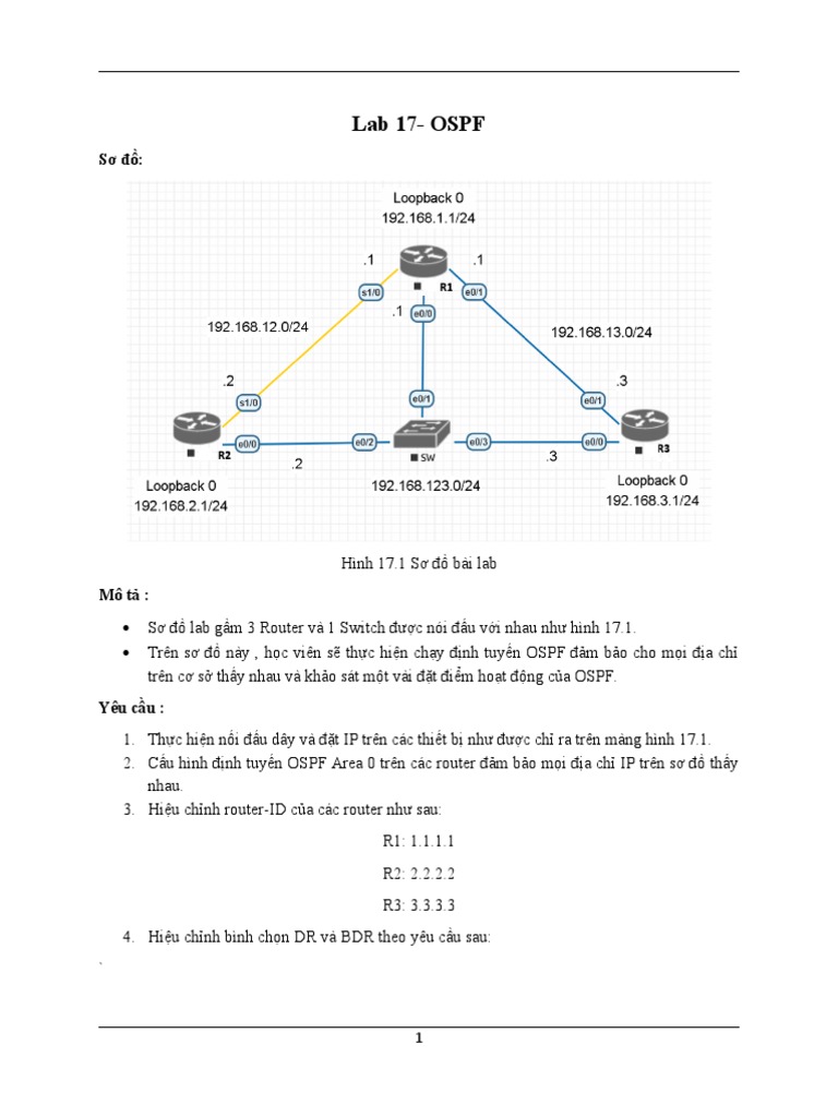 Lab 17 - OSPF | PDF