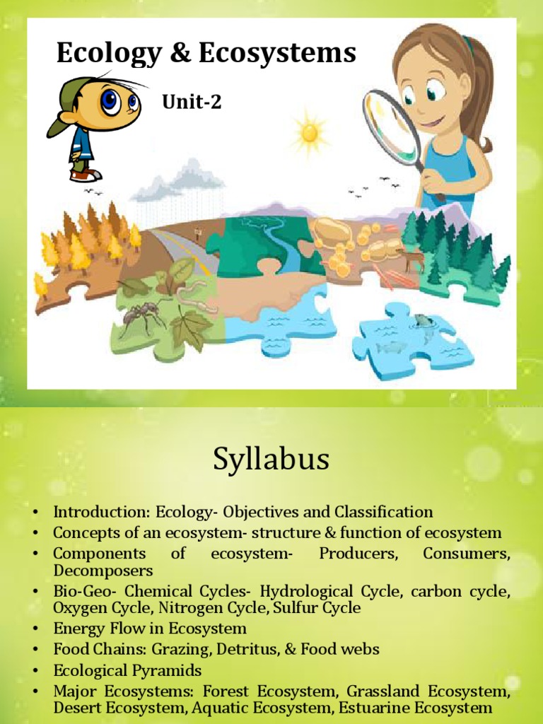 Ecology & Ecosystems | PDF | Ecosystem | Food Web