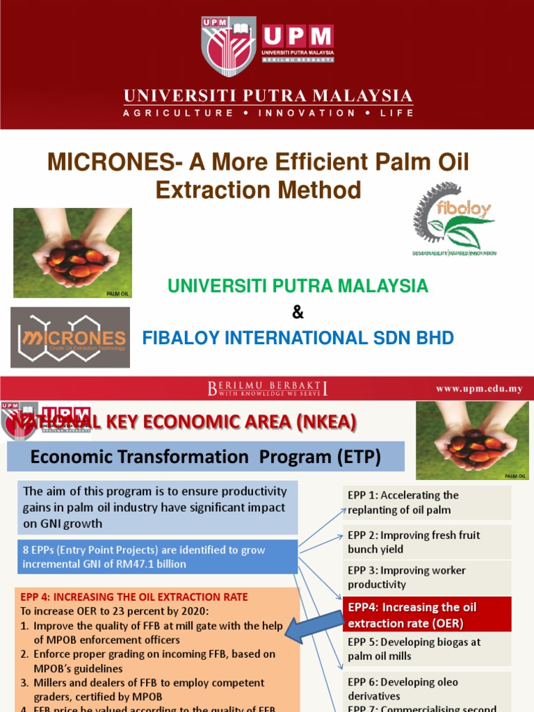 A More Efficient Palm Oil Extraction Method | PDF | Business ...