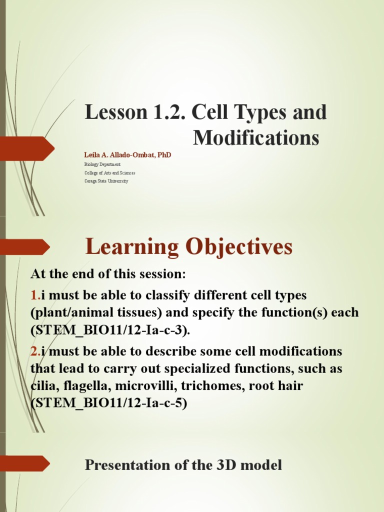 Cell Types and Modifications Overview | PDF | Tissue (Biology) | Microscopy