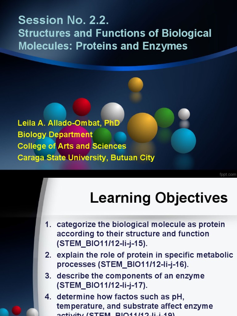 Protein and Enzyme Functions in Biology | PDF | Enzyme | Proteins