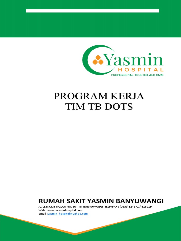 Program Kerja Tim TB Dots - Rev | PDF