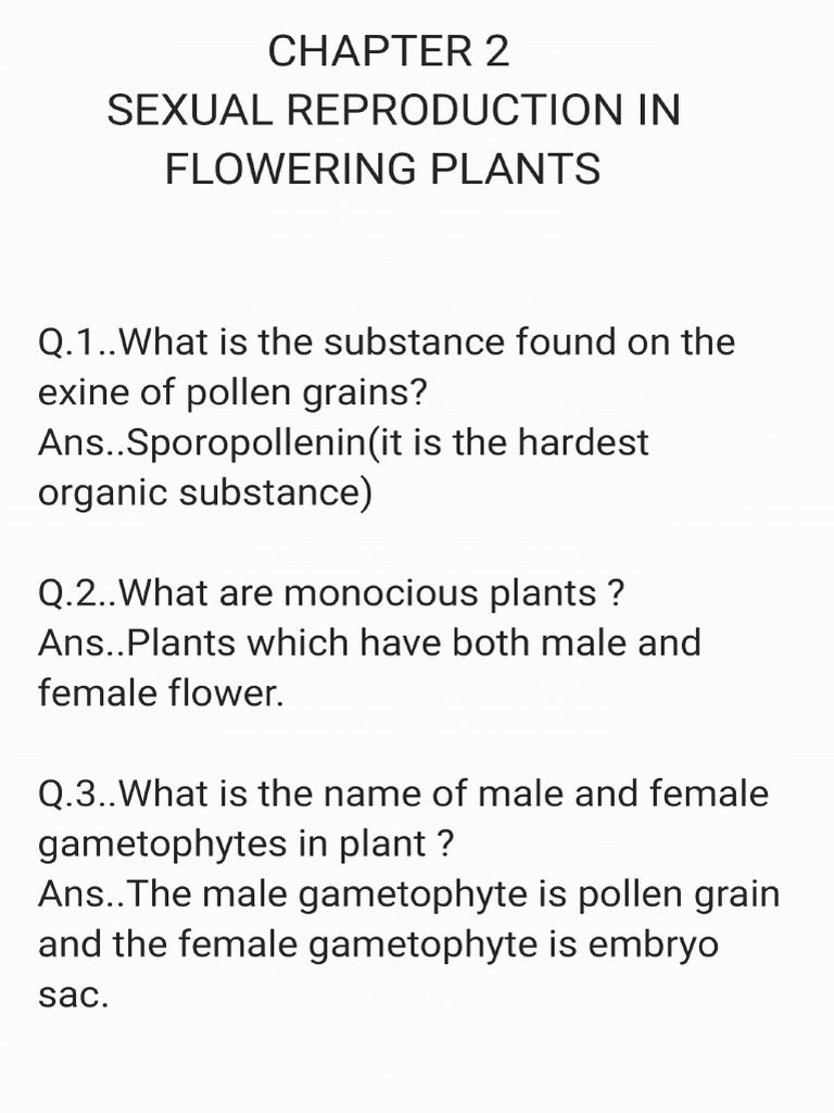 Biology Chapter 2 - 220715 - 232710 | PDF