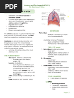 Apical Lordotic Chest X-Ray Positioning | PDF | Thorax (Human Anatomy ...