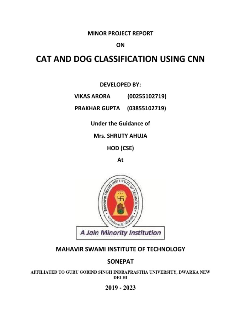 Cat And Dog Classification Using Cnn Fin Pdf Deep Learning