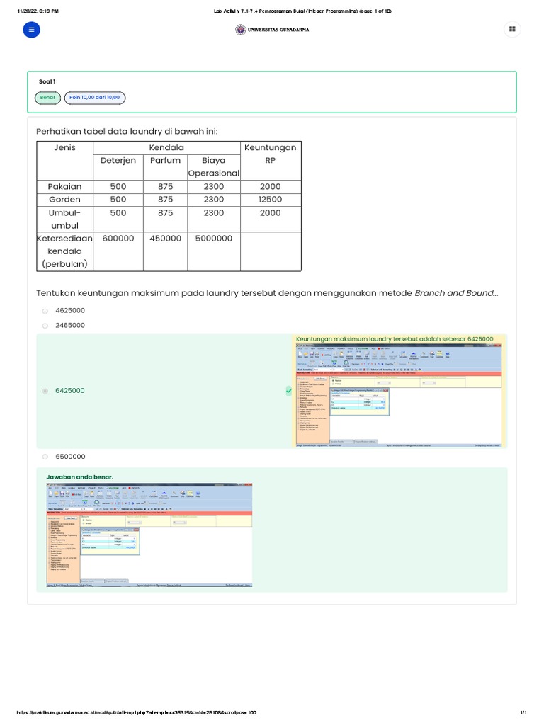 Optimalisasi Keuntungan Laundry dan Mainan | PDF
