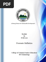 BJMP Ranks and Insignia | PDF | Science & Mathematics