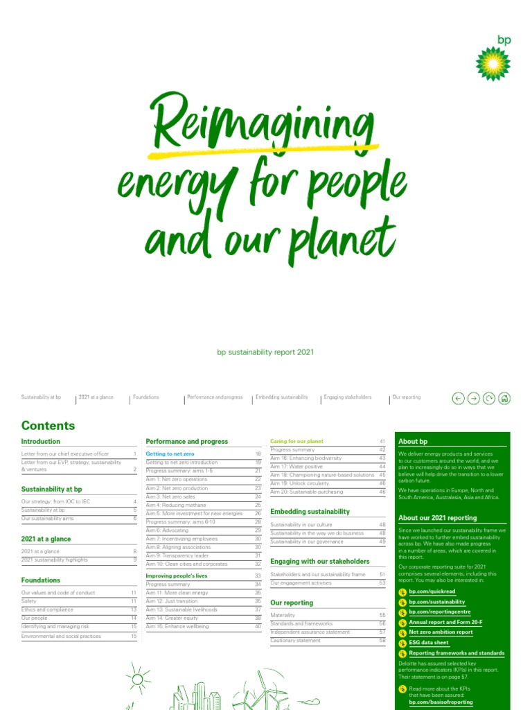 BP Sustainability Report 2021 | PDF | Bp | Low Carbon Economy