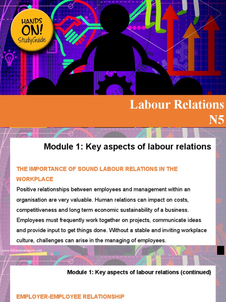 N5 Labour Relations Overview and Guide | PDF | Employment | Labour Law