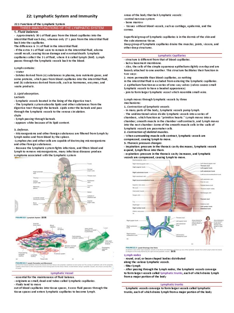 Lymphatic System Trans | PDF | Lymphatic System | Lymph Node