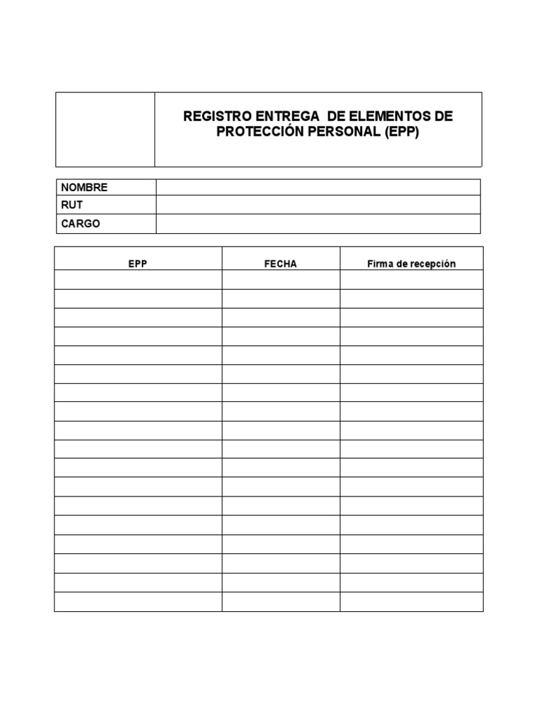 Registro Entrega EPP | PDF