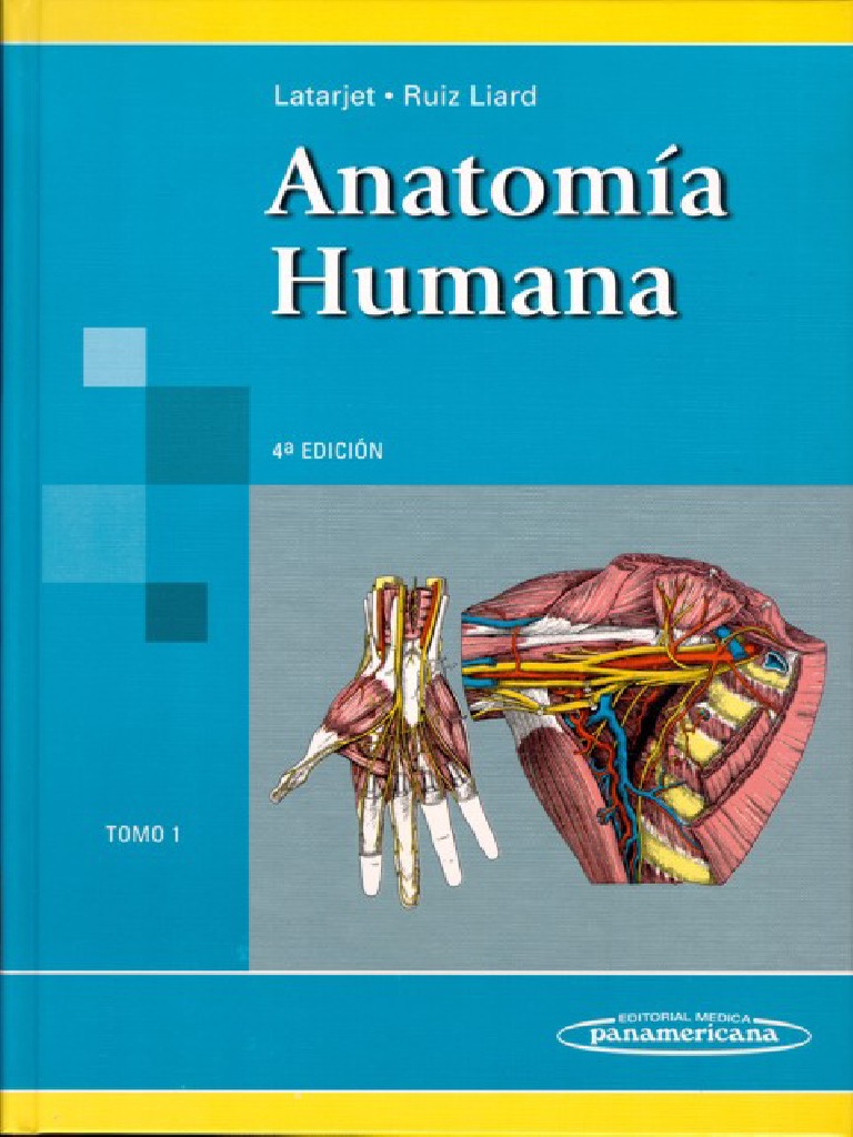 LATARJET Anatomía Humana 4a Ed - Tomo 1 | PDF