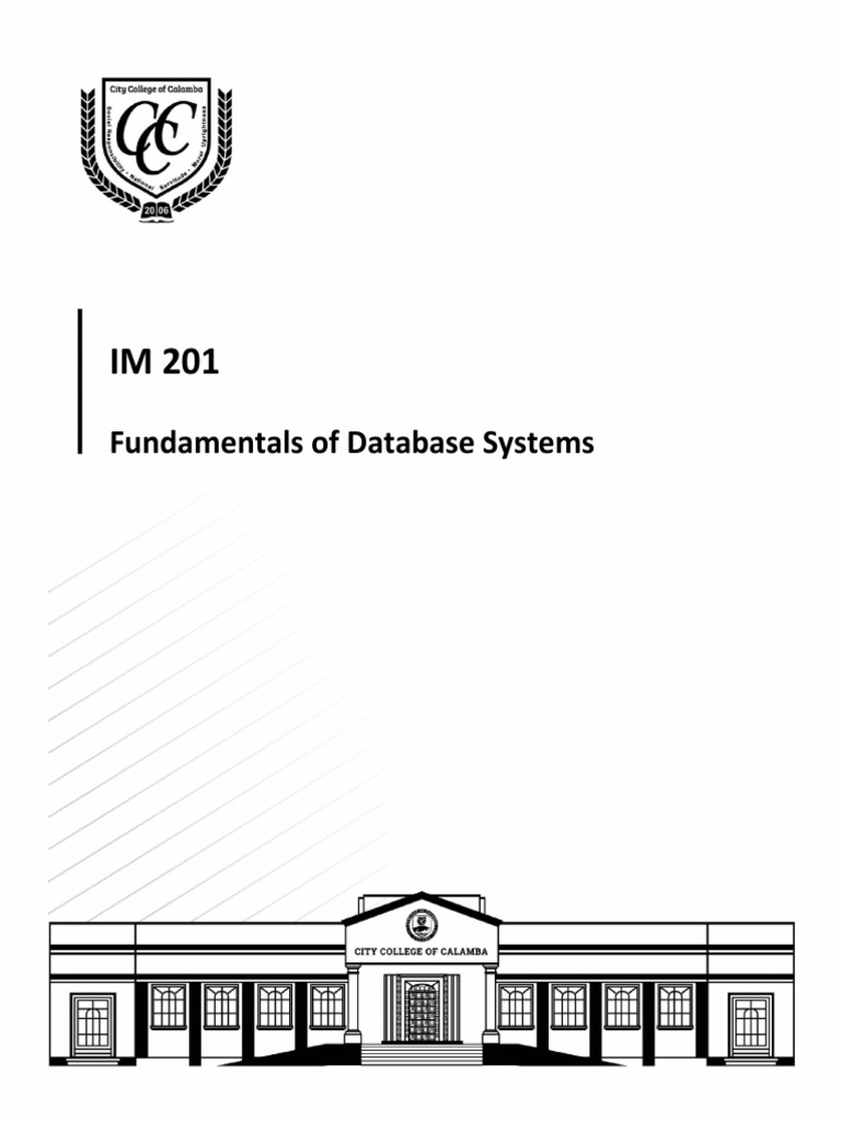 Im Final | PDF | Databases | Relational Database
