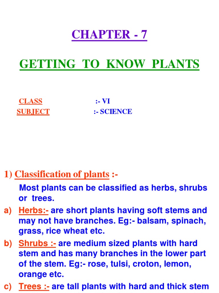 Plant Classification for Kids | PDF | Leaf | Flowers