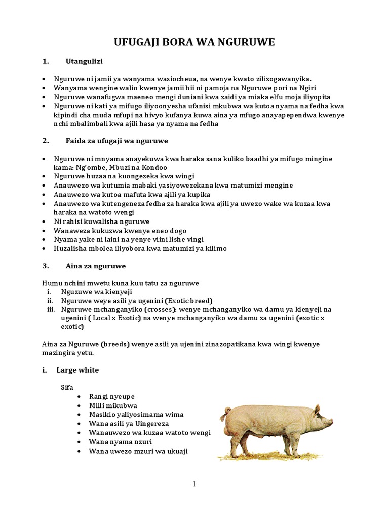 Ufugaji Bora Wa Nguruwe | PDF
