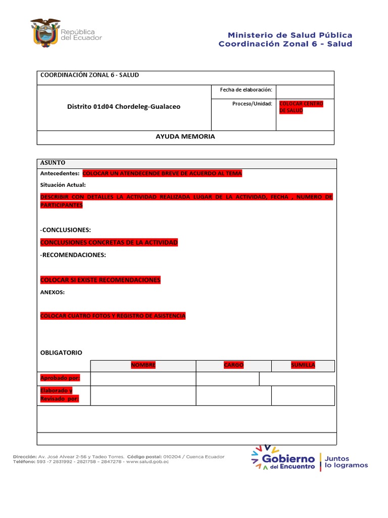 Formato Ayuda Memoria | PDF