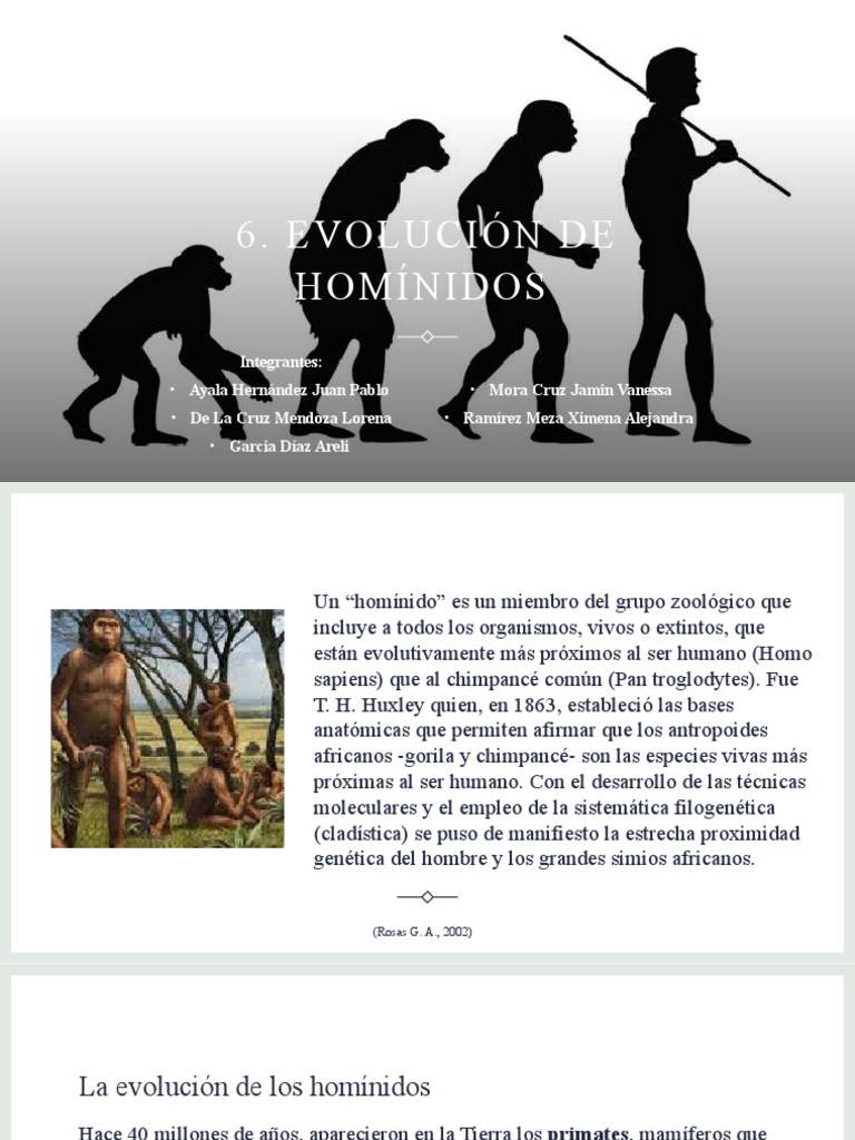 6.evolucion de Hominidos-Corregida | PDF | Homo | Hominidae
