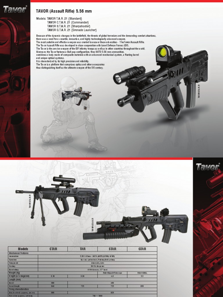 IWI Catalog 2010 | PDF | Rifle | Projectiles