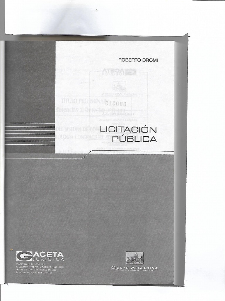 Pliego de Condiciones - DROMI ROBERTO | PDF