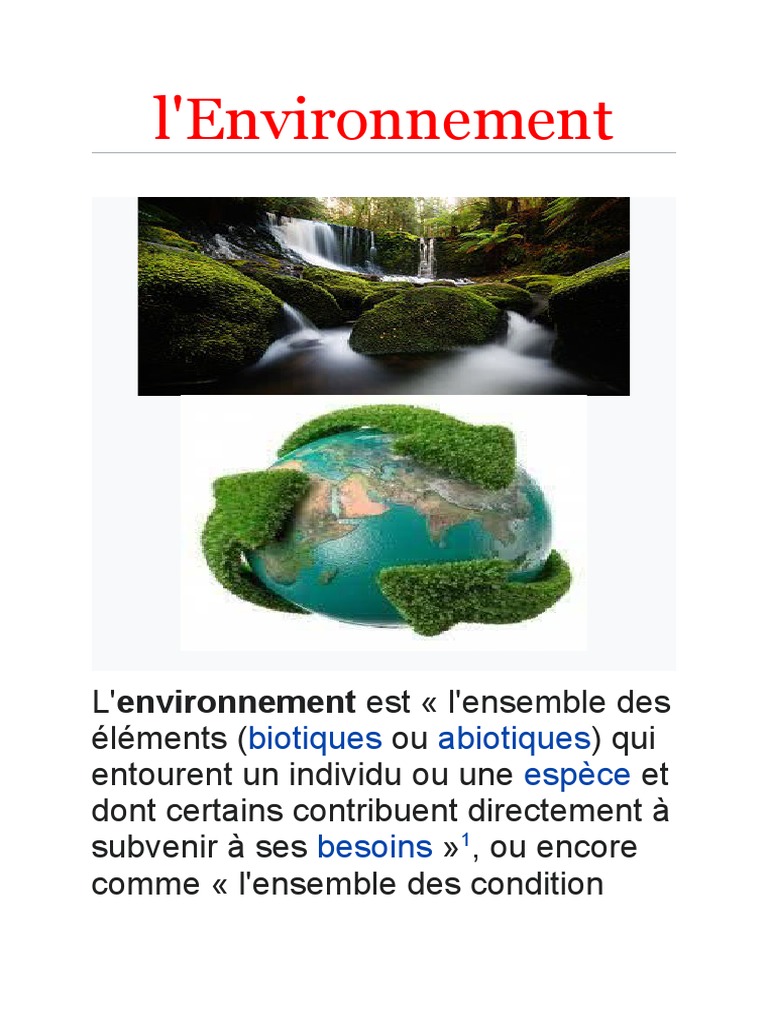 L'environnement | PDF