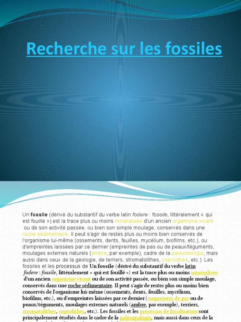 Recherche Sur Les Fossiles | PDF | Fossile | Paléontologie