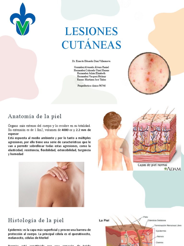 Lesiones de La Piel | PDF | Piel | Enfermedades y trastornos