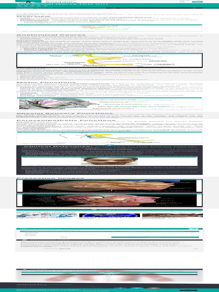 The Facial Nerve (CN VII) - Course - Functions - TeachMeAnatomy | PDF ...